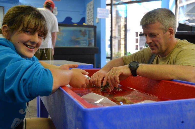 Explore the Ocean World - Explore the Ocean World Oceanarium & Touch Tanks